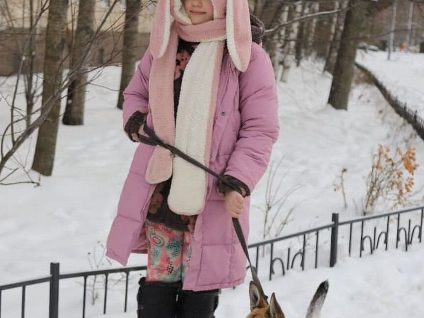 Некрупный песик Лисик