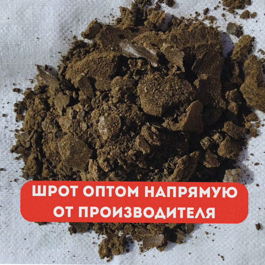 Шрот подсолнечный оптом ГОСТ