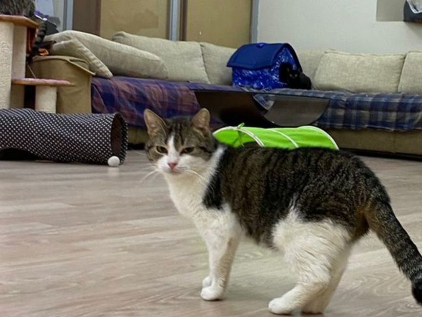 Не ждет