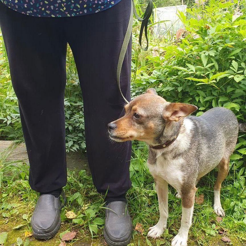 Бусинка. Выбирайте сердцем