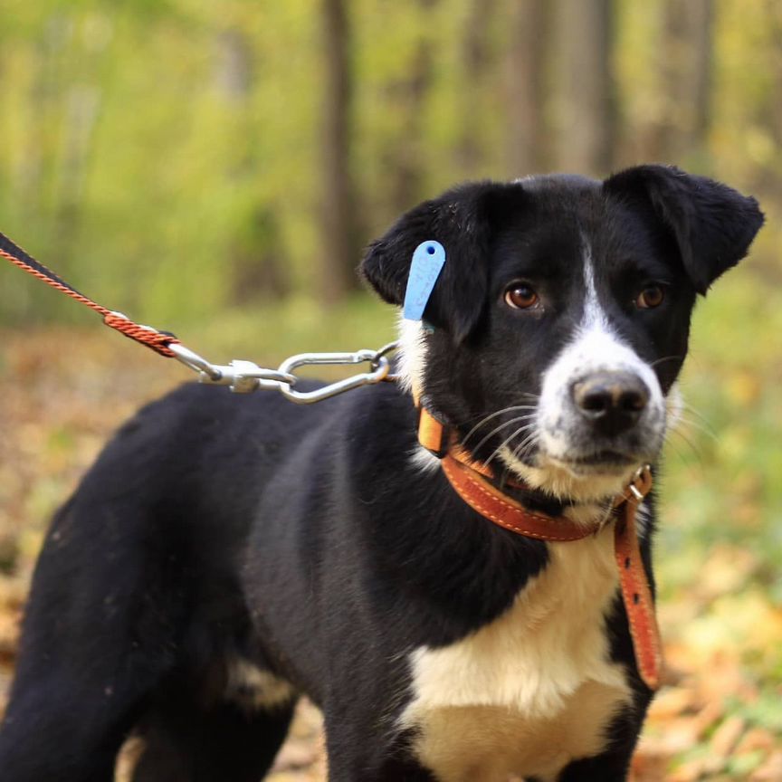 Молодой и нежный Лука ждет семью