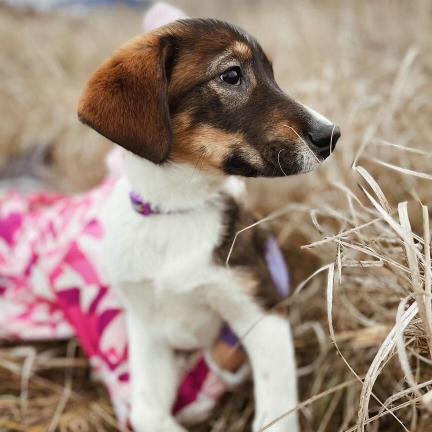 Я хочу быть с тобой