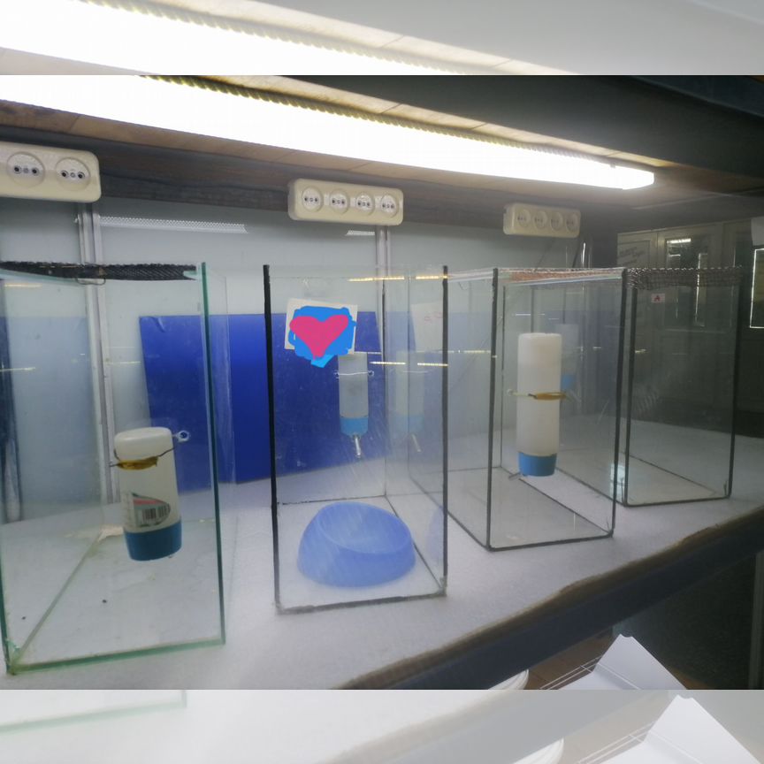 Вольер стеклянный с поилкой для грызунов