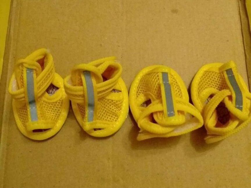 Сандалии для собак