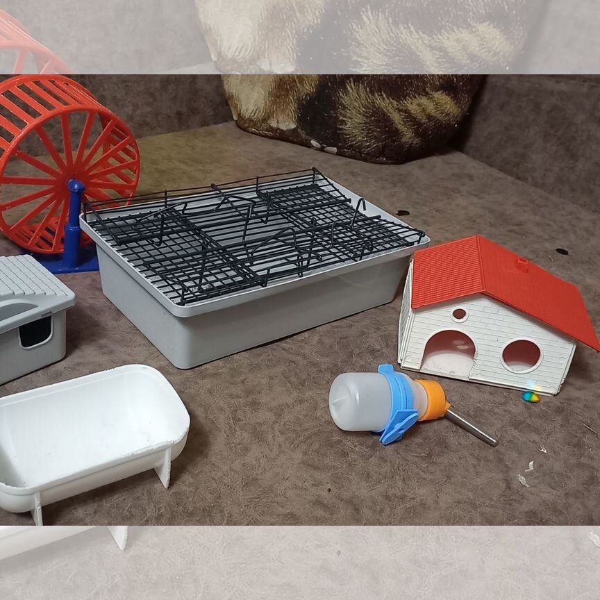 Набор для хомяка джунгарика