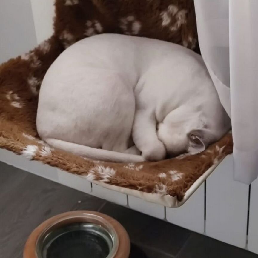 Гамак для кошек на батарею