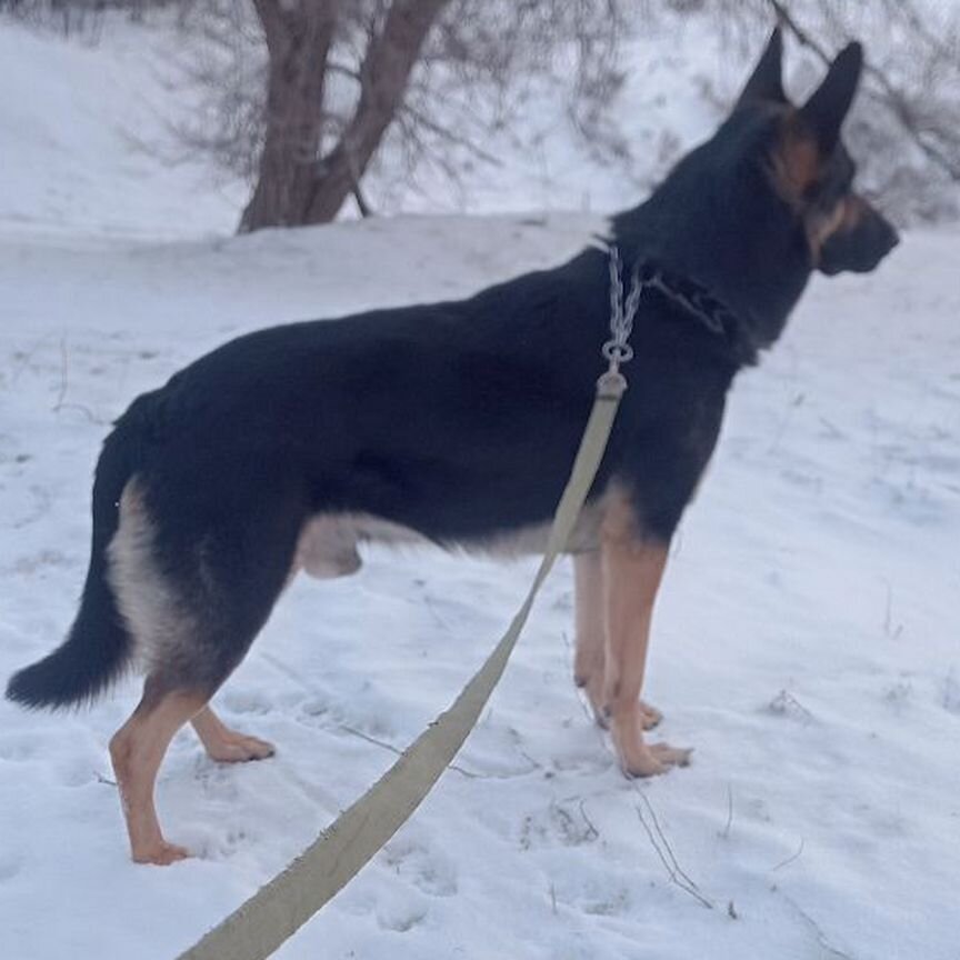 Мальчик ищет девочку взка