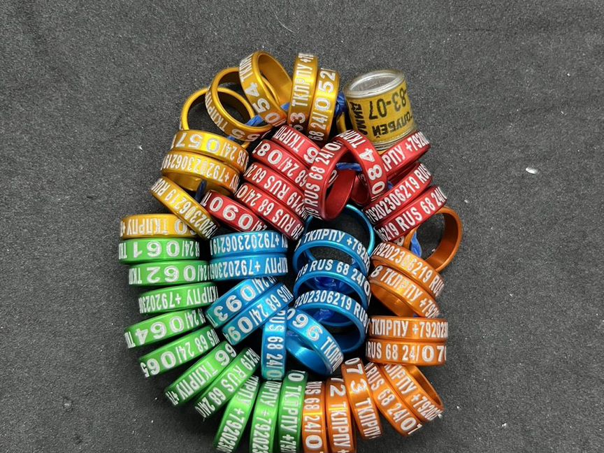 Кольца для птиц