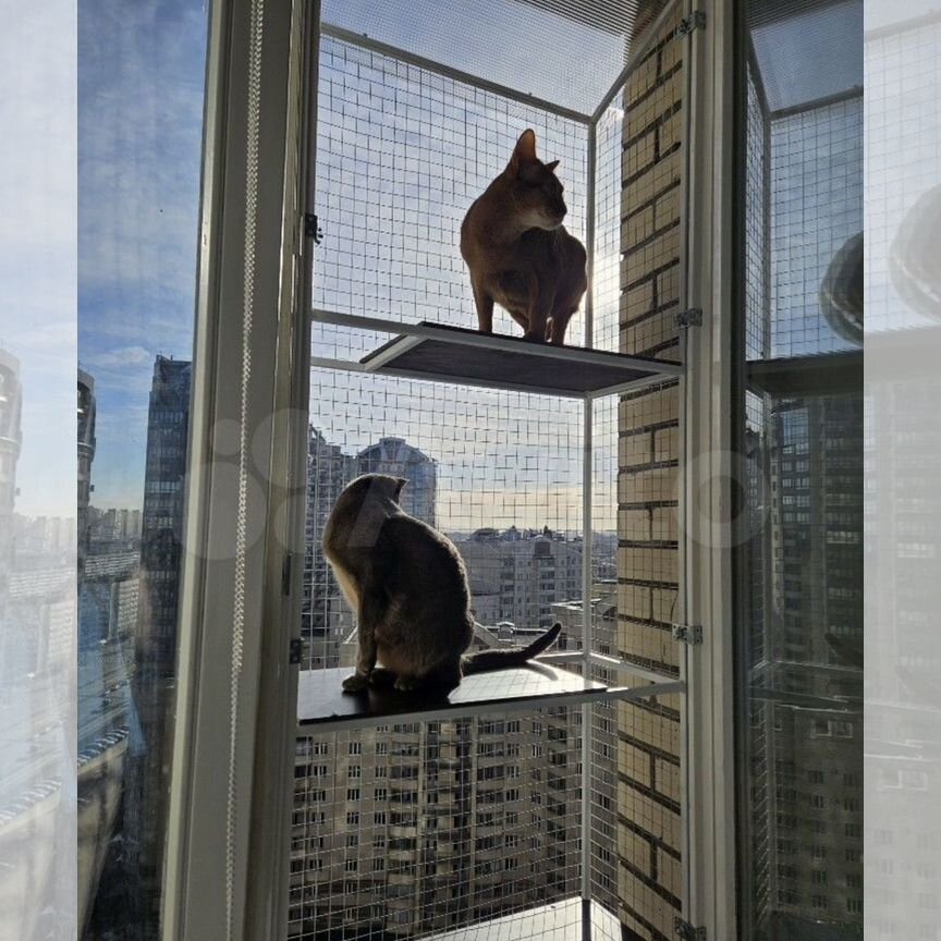 Балкончик для кошки на окно