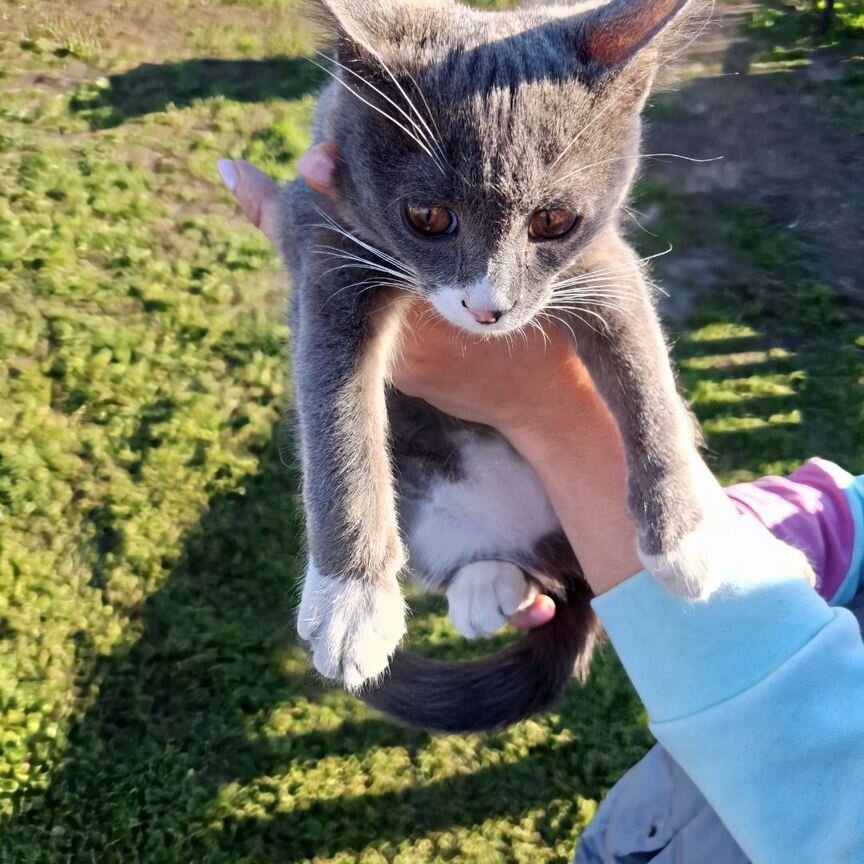 В самые добрые руки