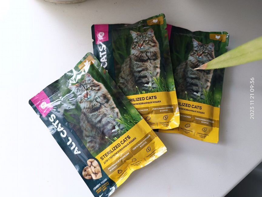 Влажный корм для кошек all cats