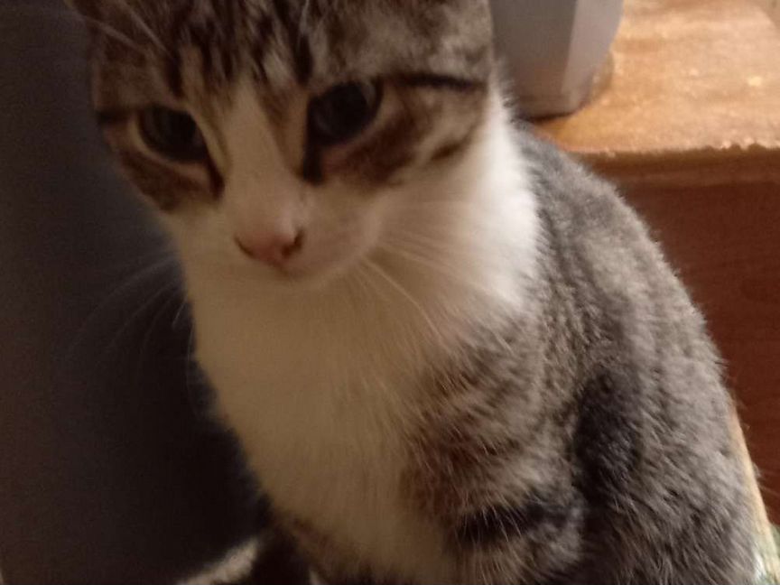 Всем нам нужны перемены