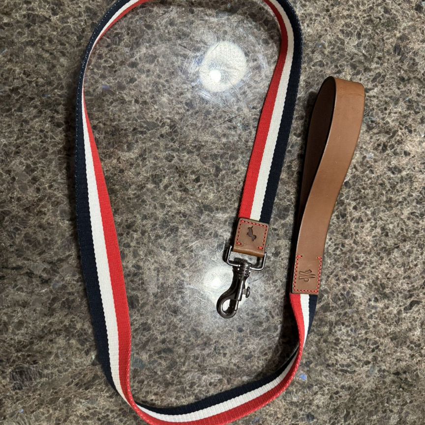 Ремень для ошейника Монклер