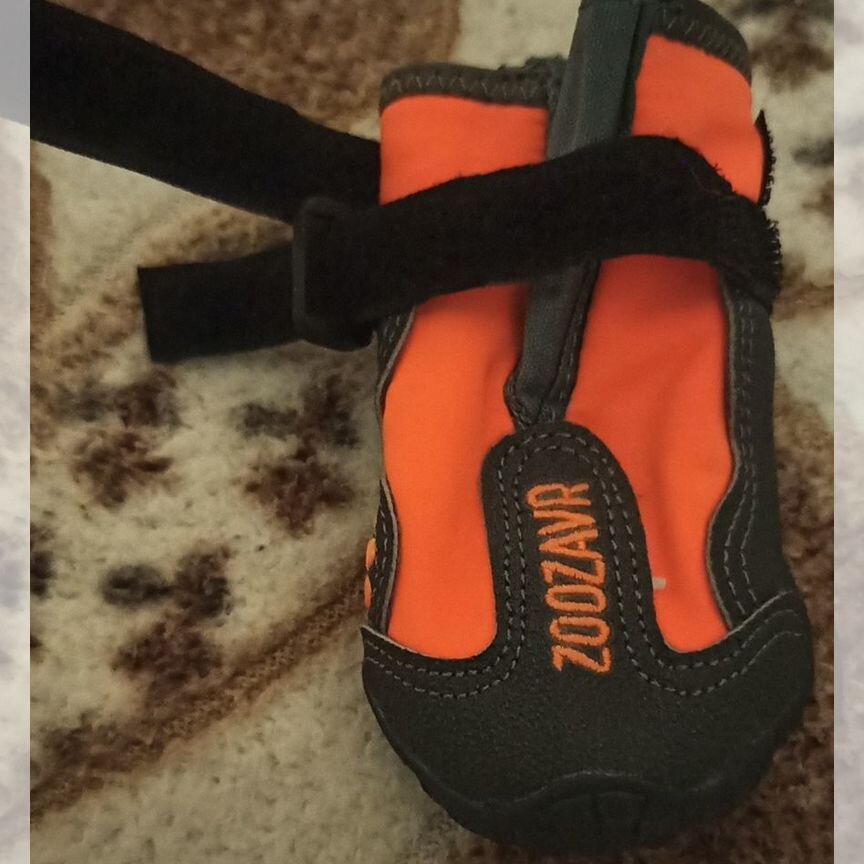 Ботинки для собак