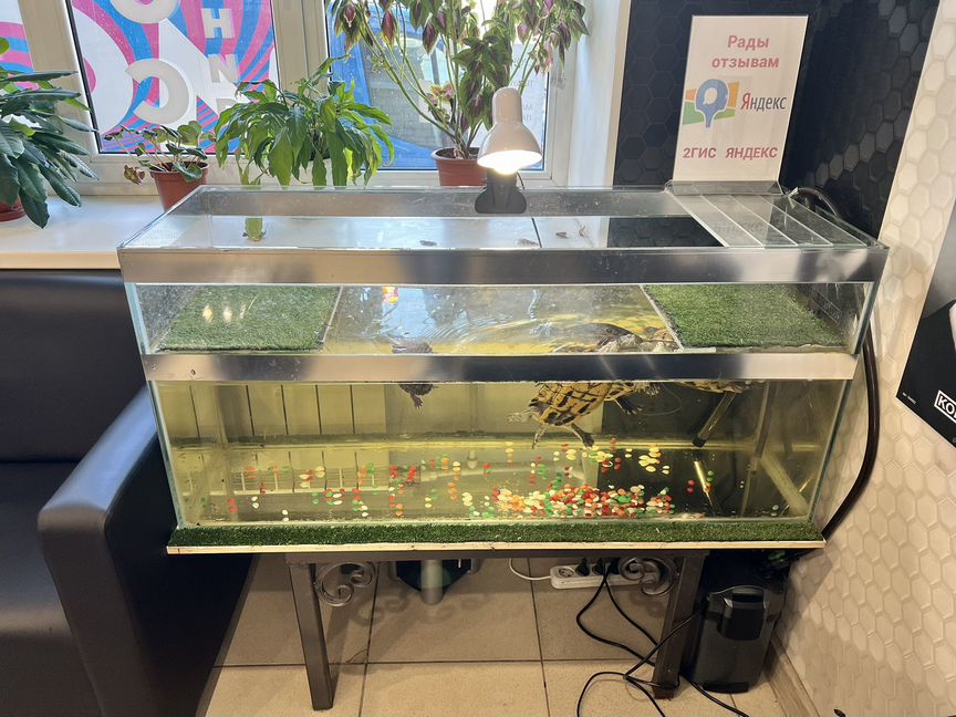 Аквариум большой бу