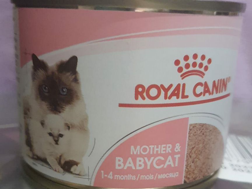 Паштет мусс для котят роял Канин