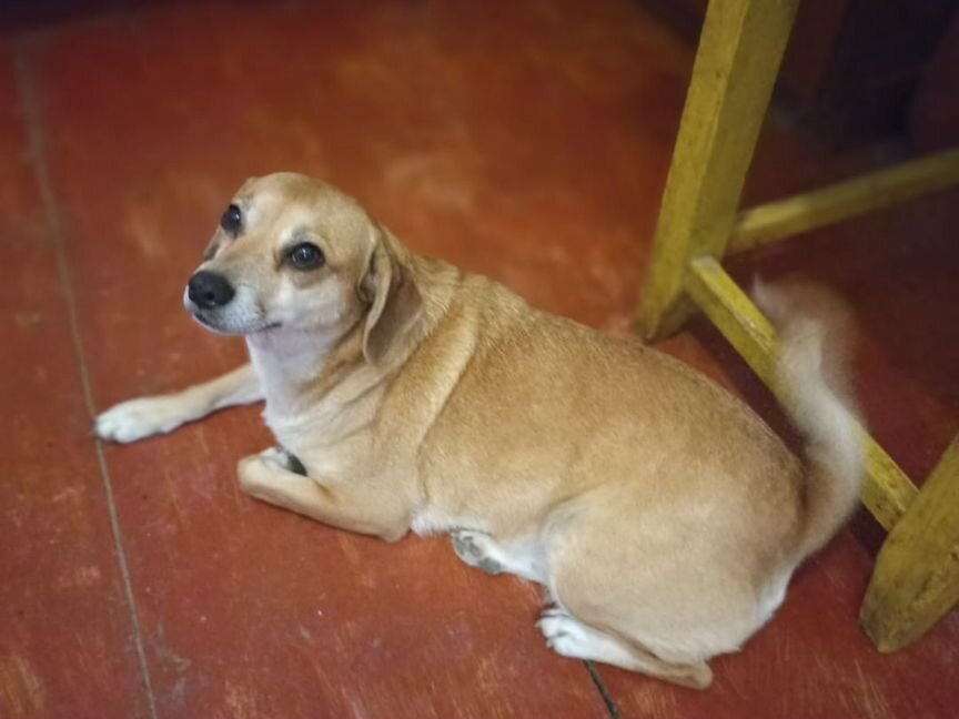 Девочка стерилизована 2 года