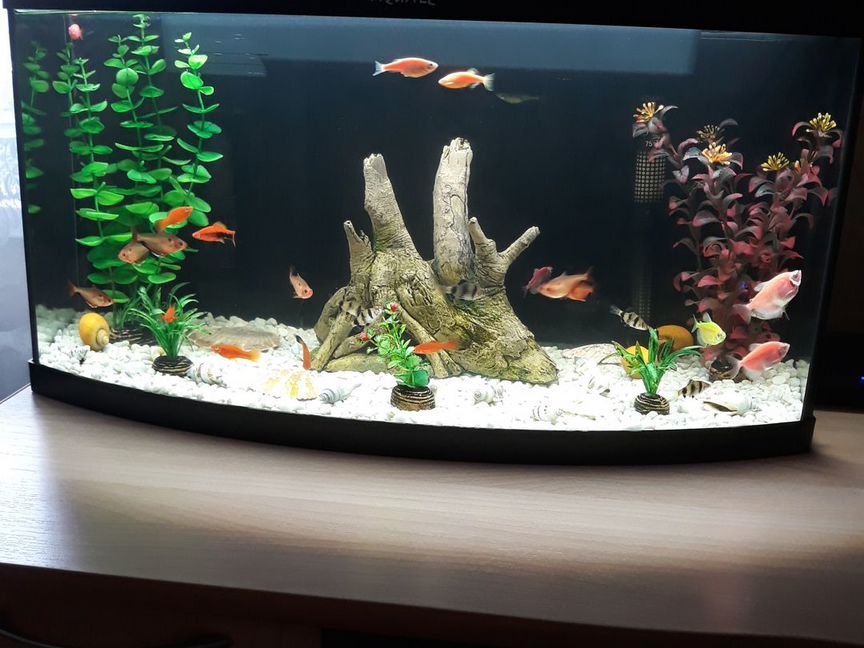 Аквариум Aquael