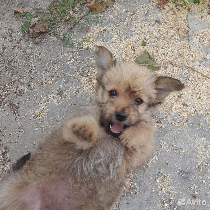 Маленькая кнопочка 2 мес