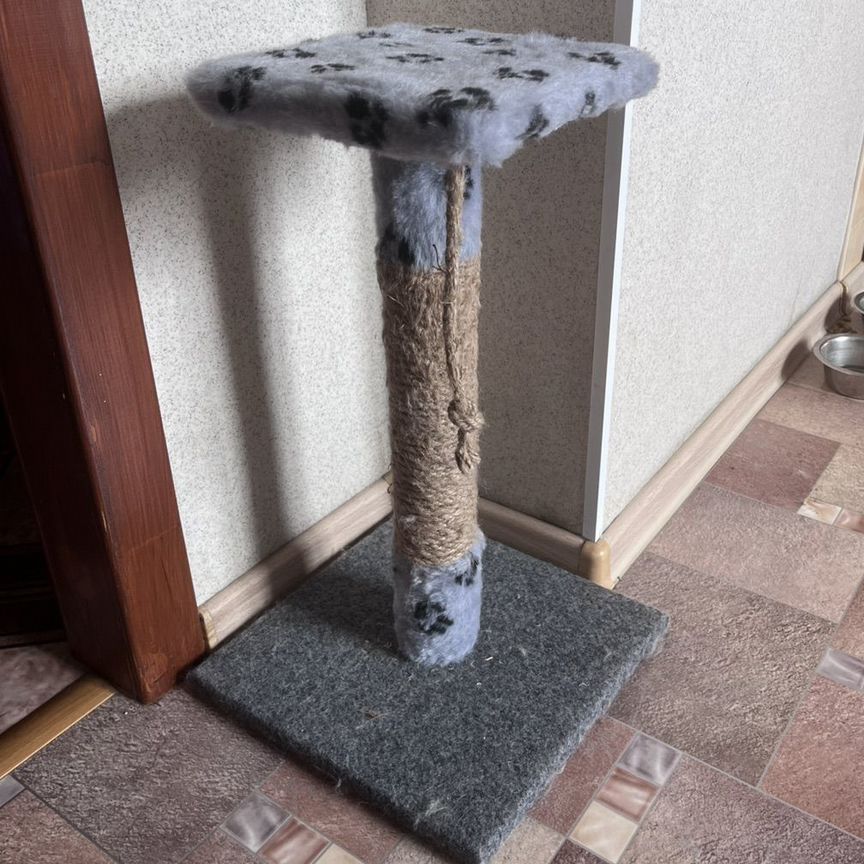 Когтеточка