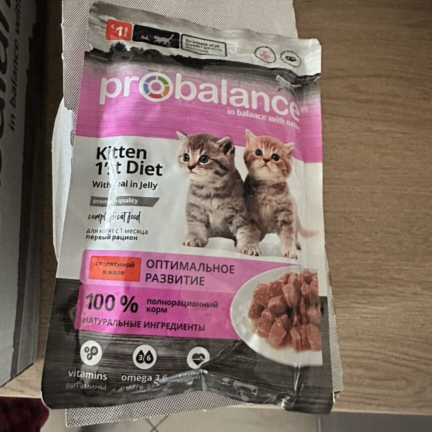 Корм для котят probalance