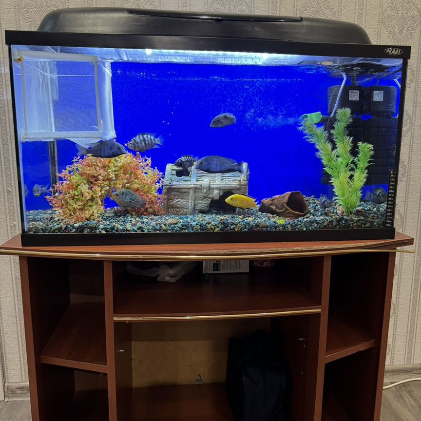 Аквариум с тумбой pearl 112 л