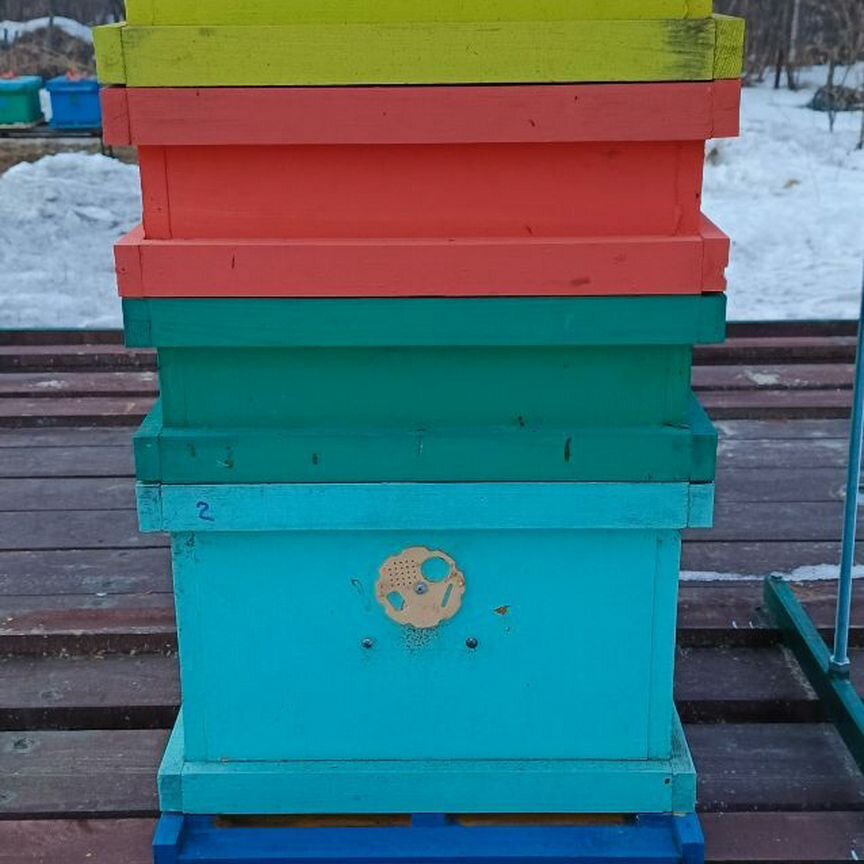Улья ППУ