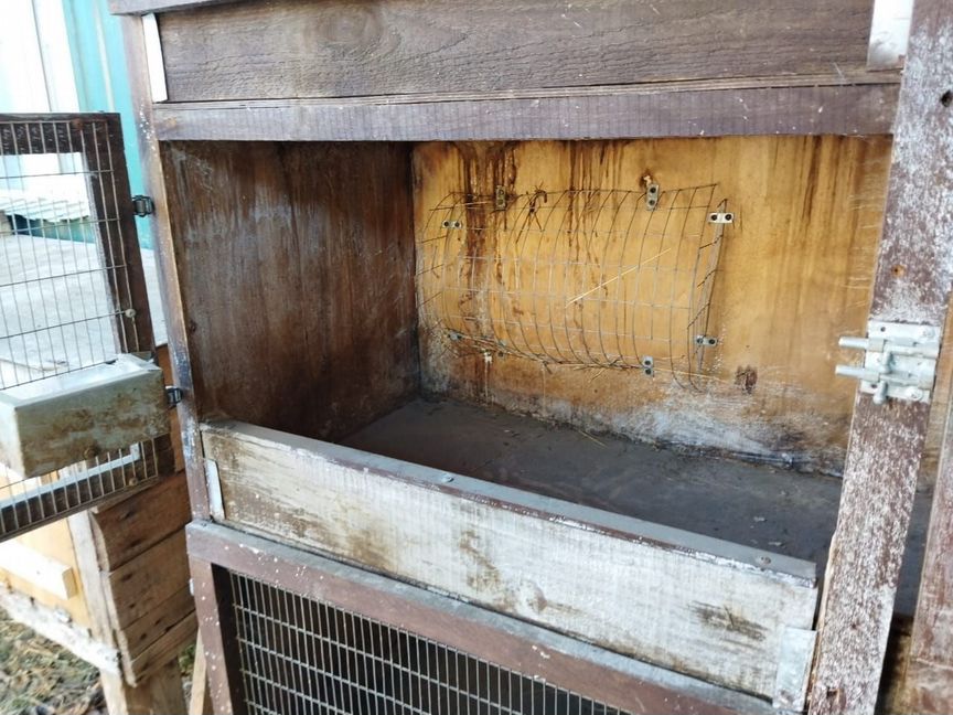 Клетка для кролика