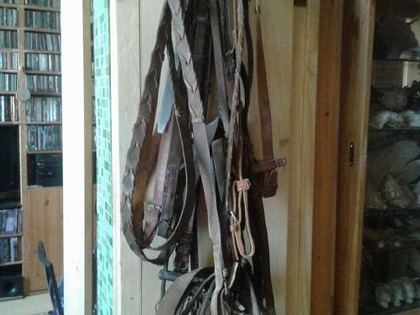 Конское оголовье