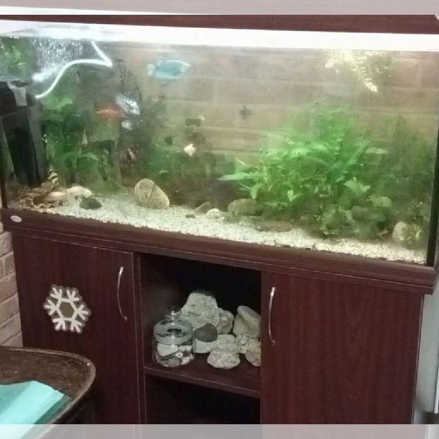 Аквариум 200л с тумбой