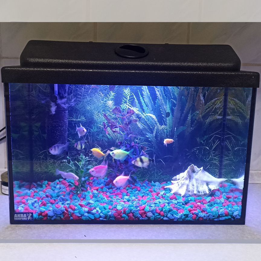 Аквариум с рыбками