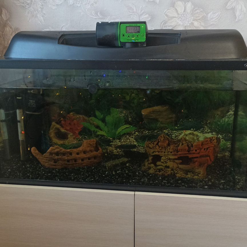 Аквариум, авто кормушка, фильтр внутренний