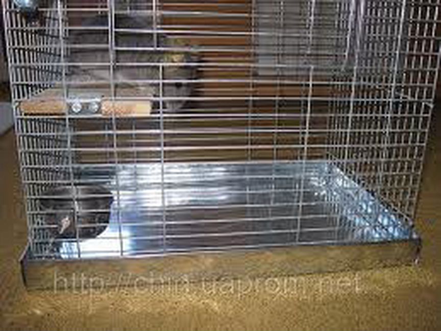 Металлические подоны, лотки для клеток