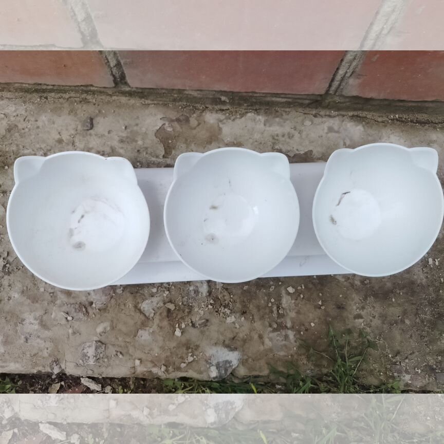 Миски для кошек с подставкой