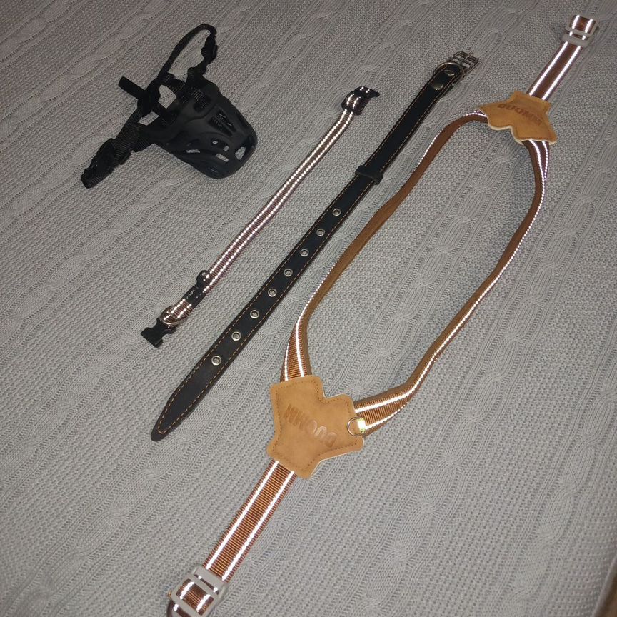 Амуниция для собак бу