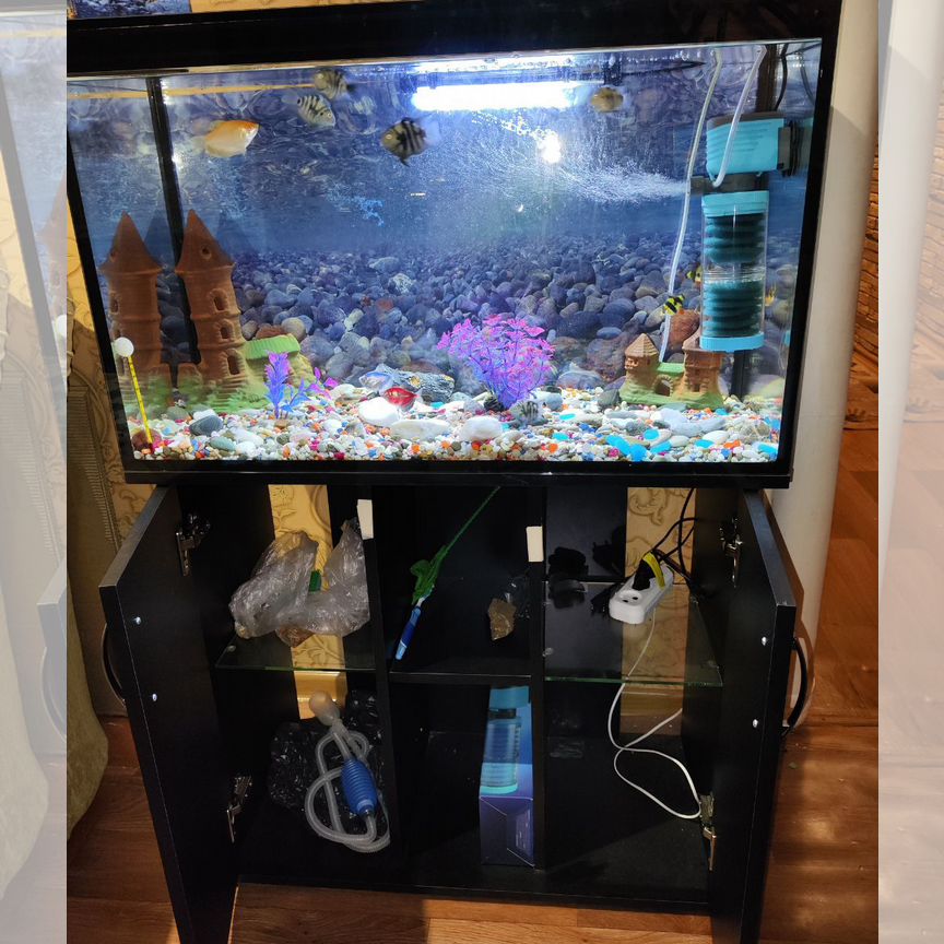 Аквариум 140 литров, тумба, компрессор, рыбки