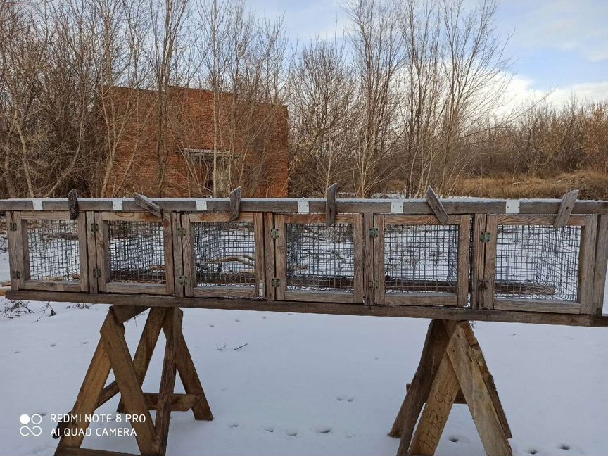 Клетки для кроликов бу