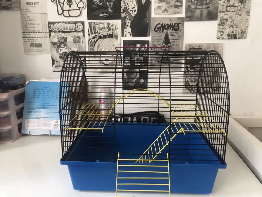 Клетка для грызунов