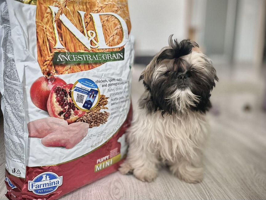 Farmina N&D I для щенков Mini I 6.6 кг