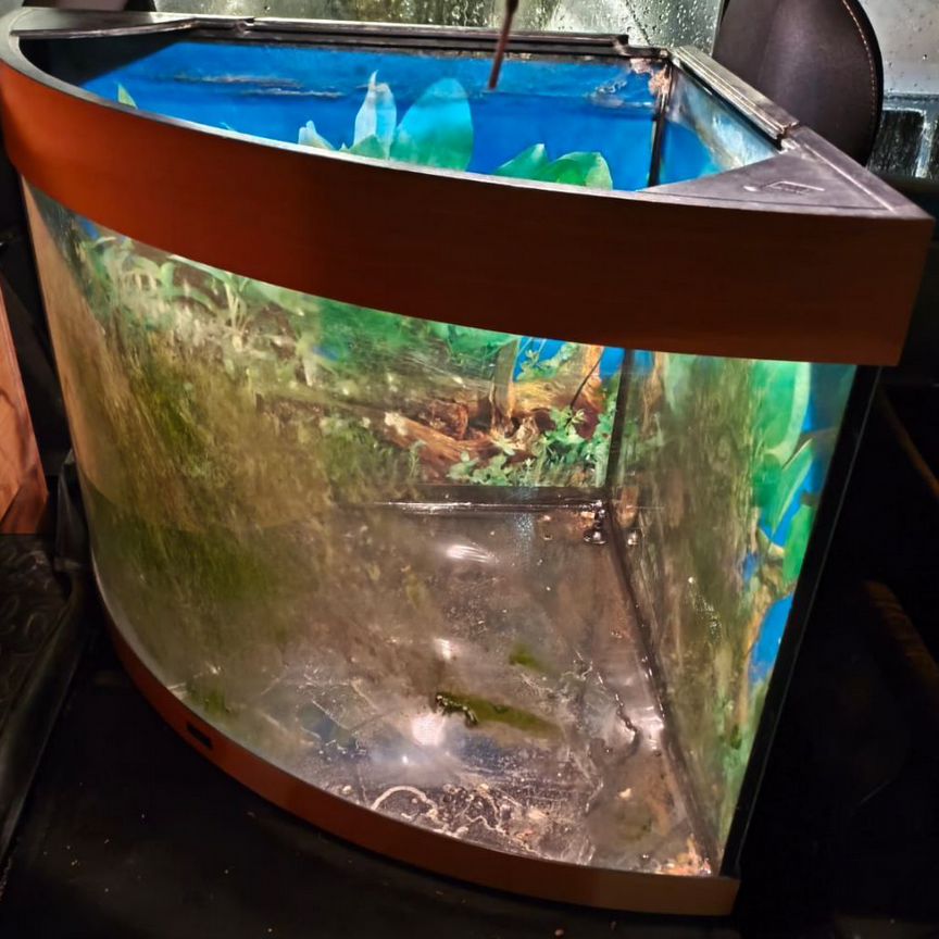 Угловой аквариум juwel с тумбой на 280 литров