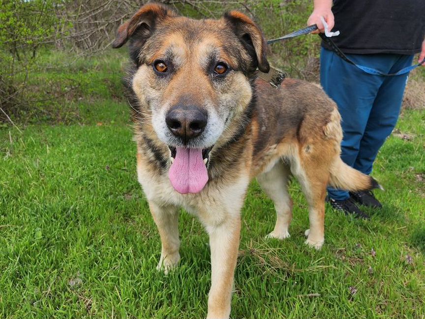 Бархан ждет тебя в отлове