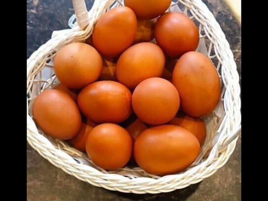 Продам домашние куриные яйца