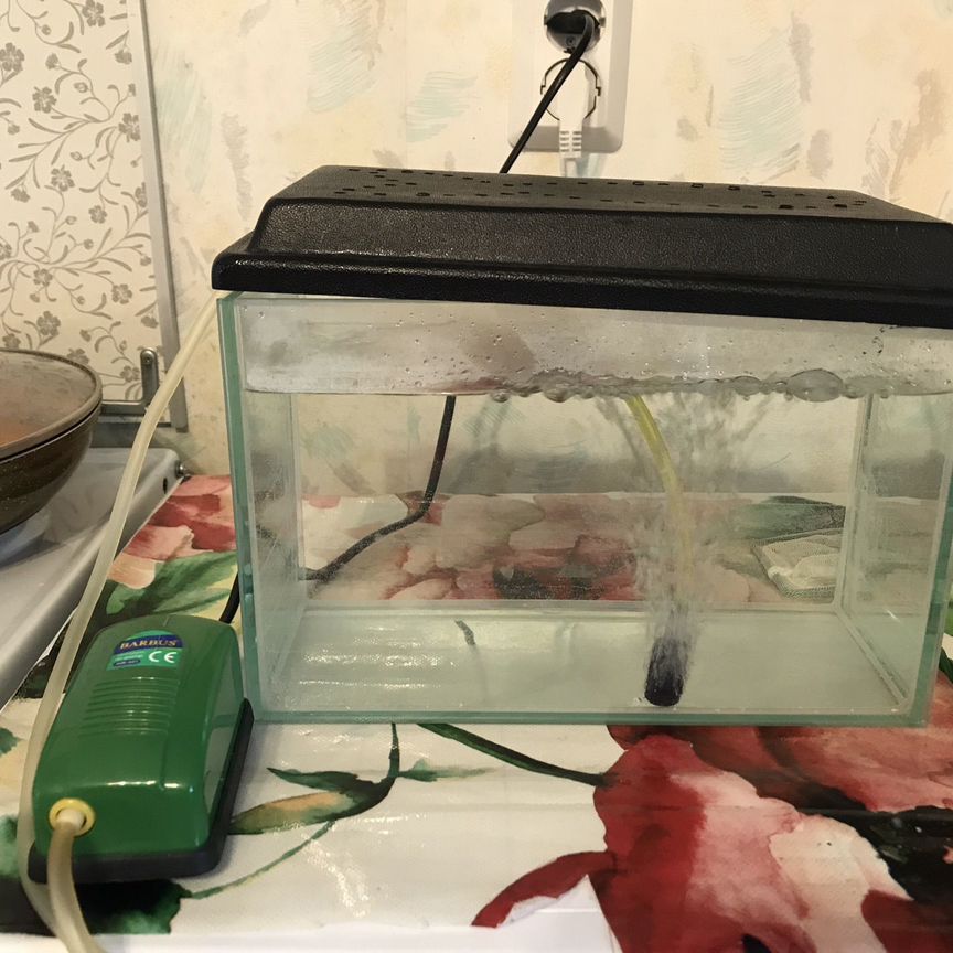 Аквариум 3,5 литра