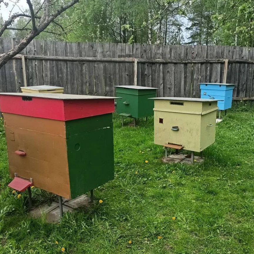 Продам ульи для пчел бу