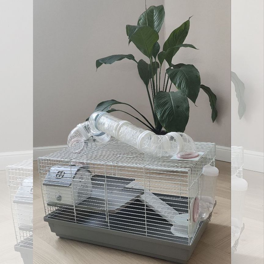 Клетка для хомяка с трубой