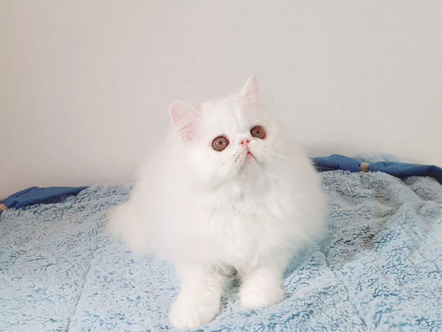 Малышка Манечка