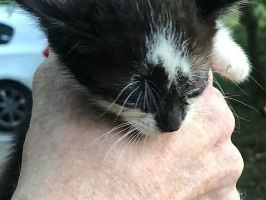 Малыш в беде