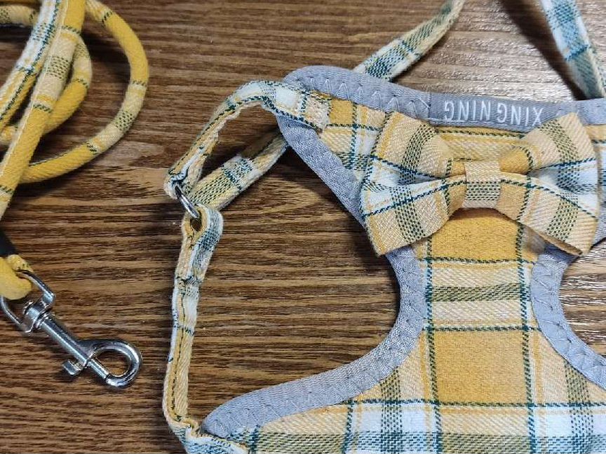 Шлейка с поводком для кошек и маленьких собак