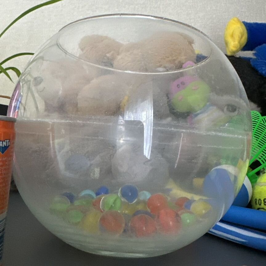 Аквариум маленький круглый