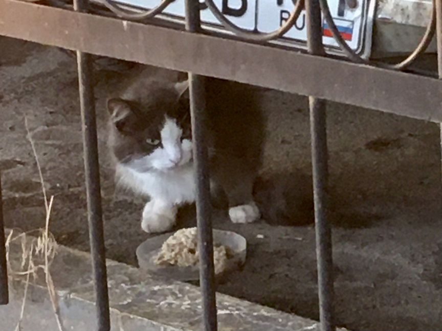 В-16 спасем вместе